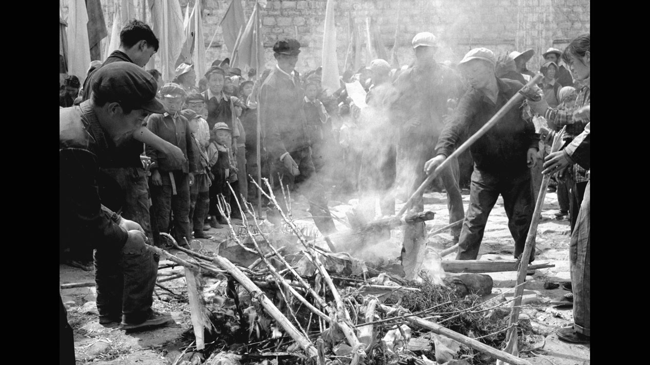 Cultural Revolution - Tibet Museum